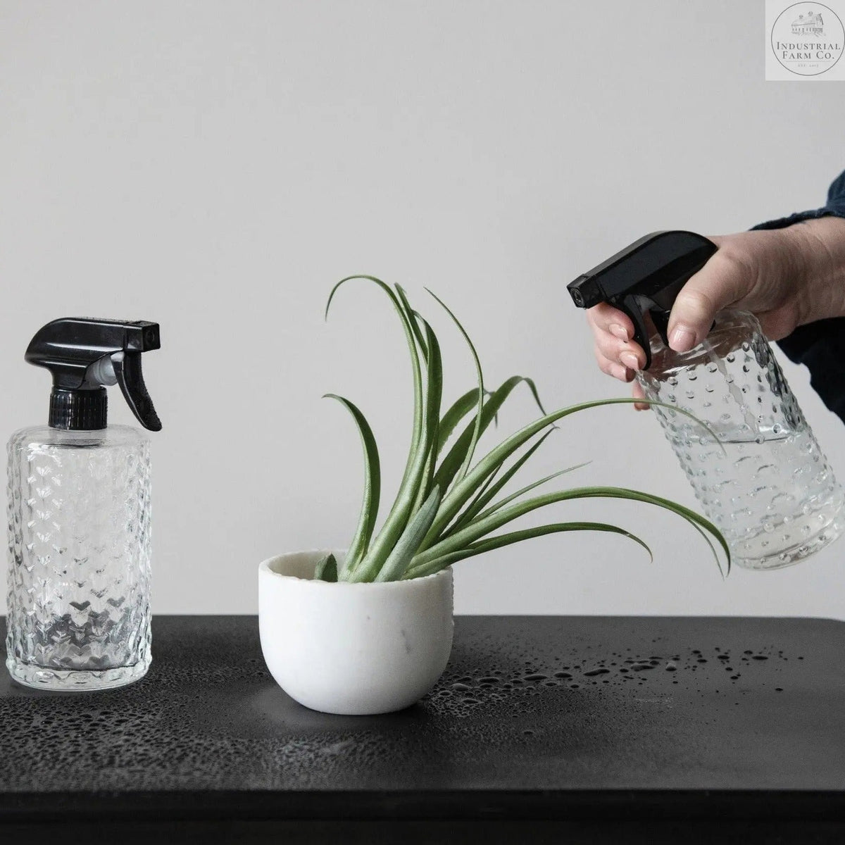 Embossed Glass Spray Bottle | From Industrial Farm Co